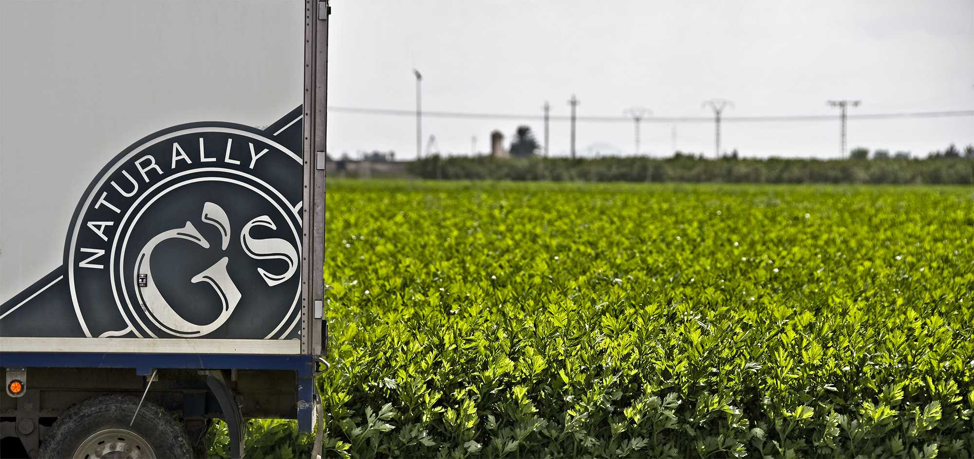 G S Espa a Holdings S L Proexport G S Espa a Holdings S L Proexport