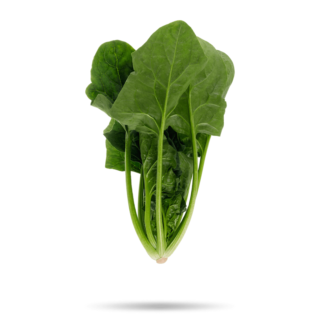 S.A.T. 9855 Primaflor - Proexport