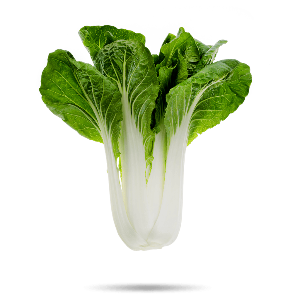 S.A.T. 9855 Primaflor - Proexport