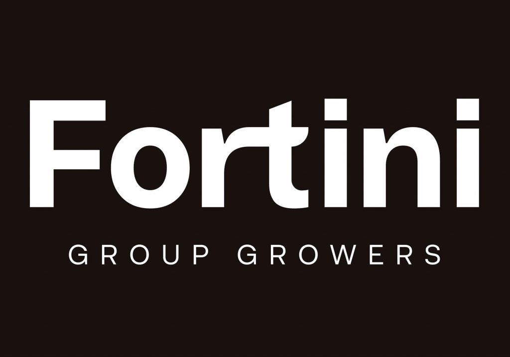 Grupo Fortini - Proexport