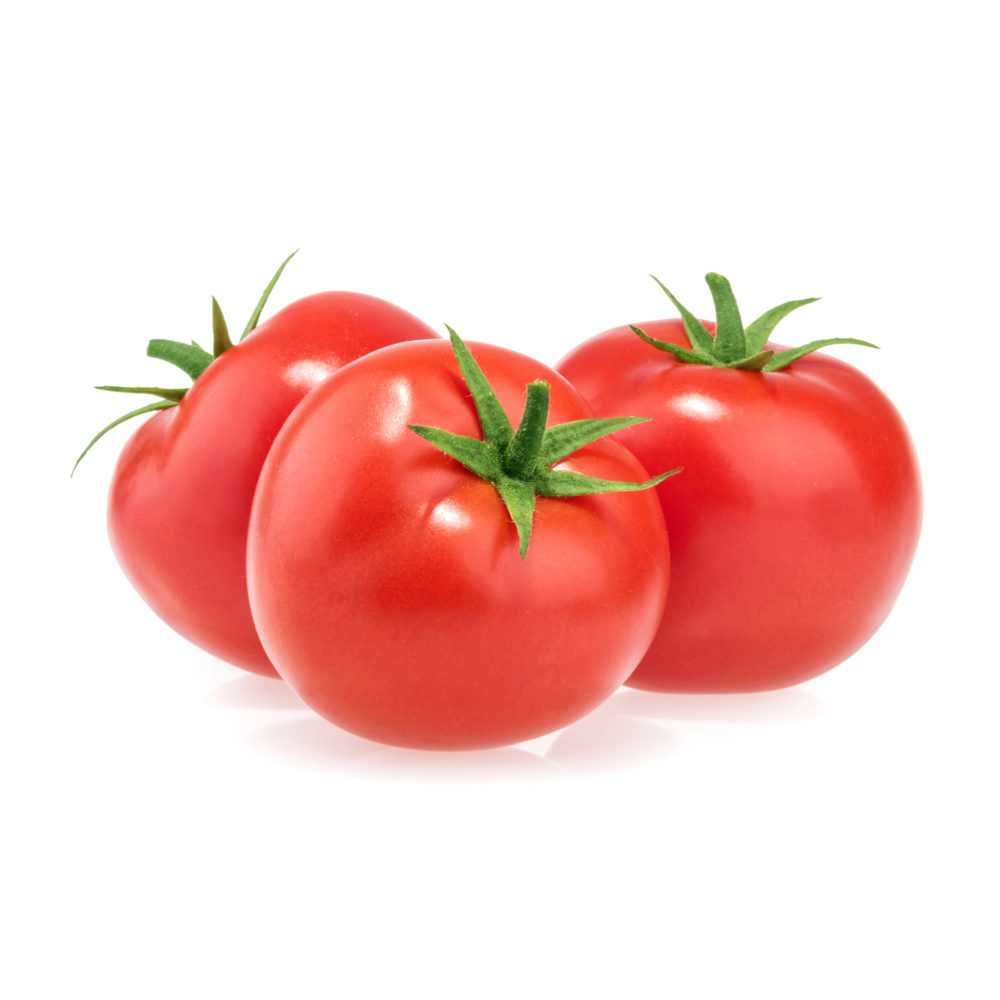 Tomate pintón - Proexport