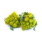 Agromark S.L. - Proexport