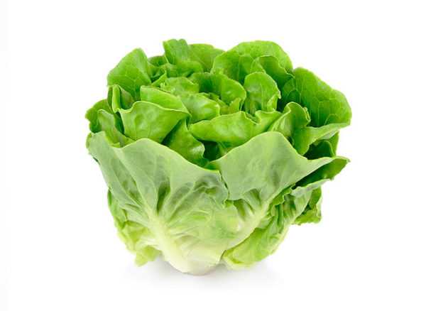 Lechuga - Proexport
