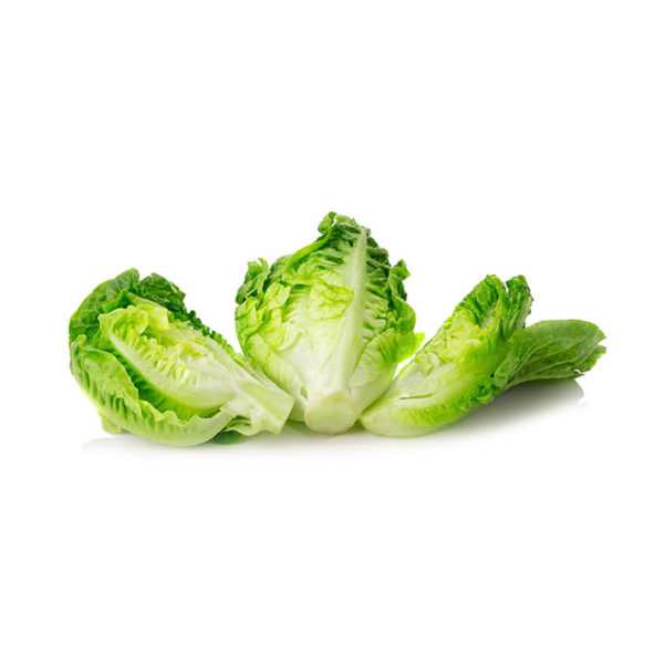 Fruveg S. Coop. - Proexport