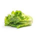 S.A.T. 9989 Peregrin - Proexport