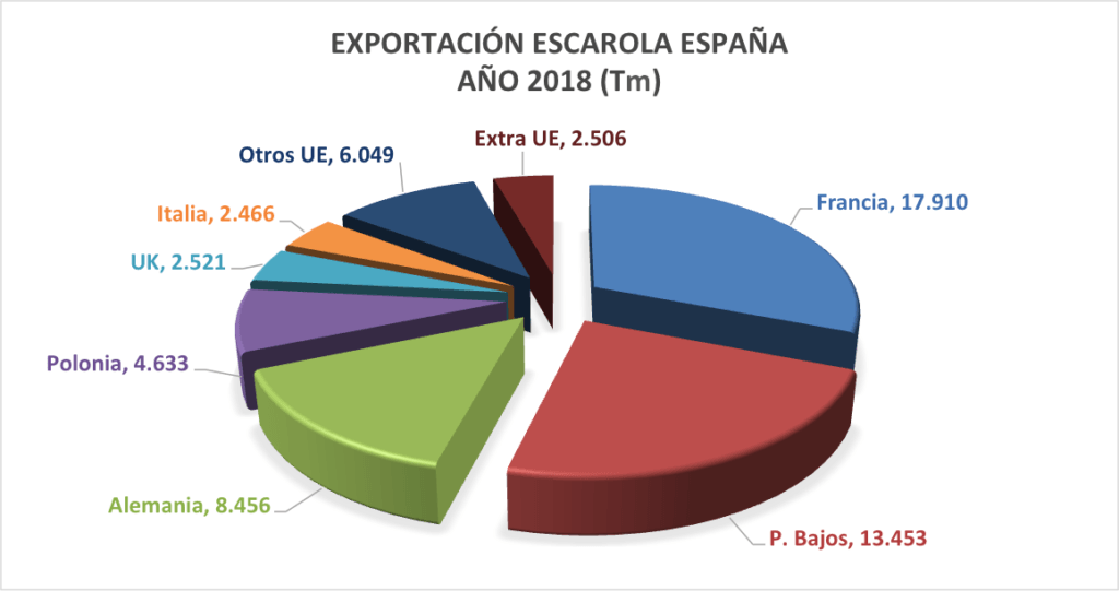 AgroCIFRAS Escarola - Proexport