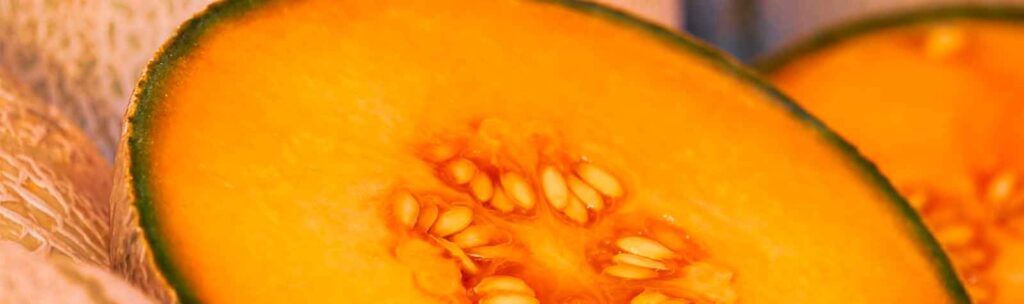 Fruveg S. Coop. - Proexport